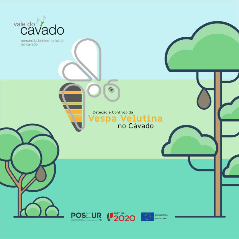 AÇÕES DE SENSIBILIZAÇÃO NOS MUNICIPIOS DA NUTS III CÁVADO – CIM Cávado